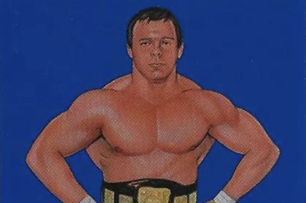 COLLECTIBLES COLUMN: Looking at Cards, Figures, and Other Collectibles ...